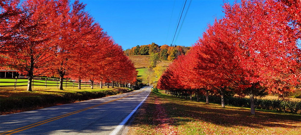 Potd 10 18 22 Potd On Godubois