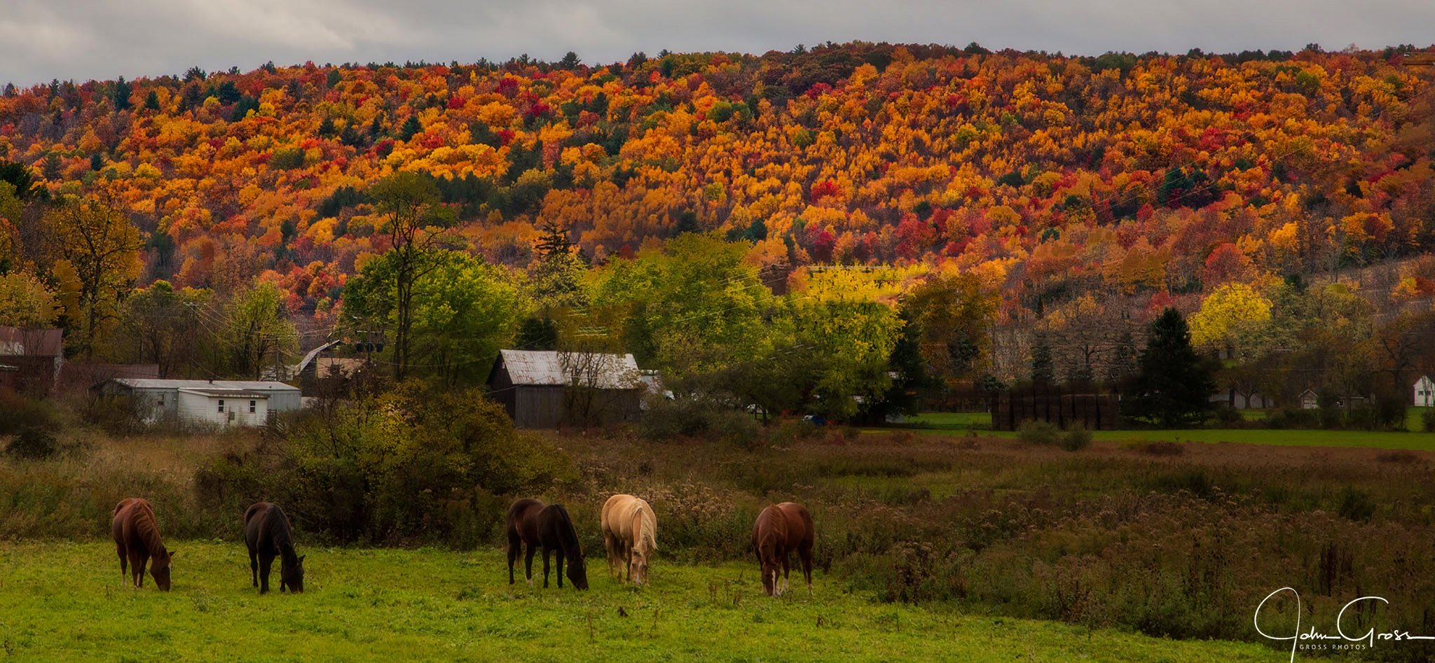 Potd 10 22 22 Potd On Godubois