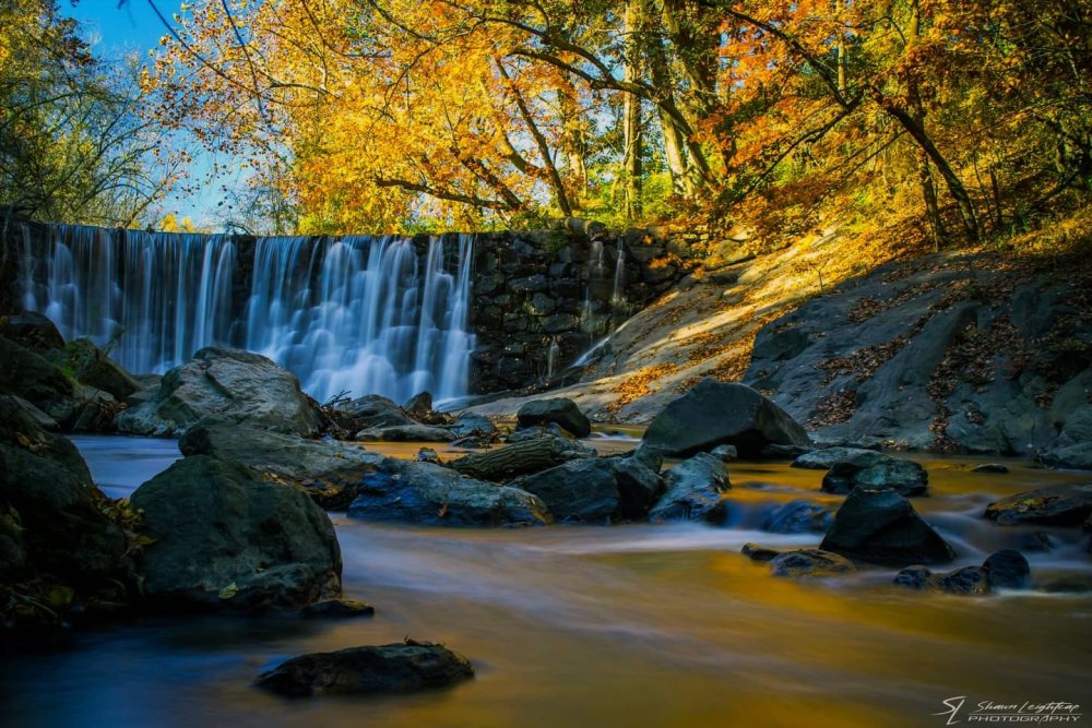 Potd 12 8 22 Potd On Godubois