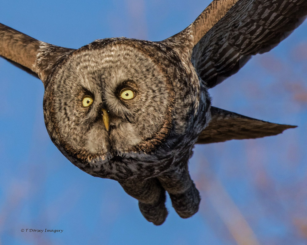 POTD 1-13-23 - POTD ON GODUBOIS - GoDuBois.com