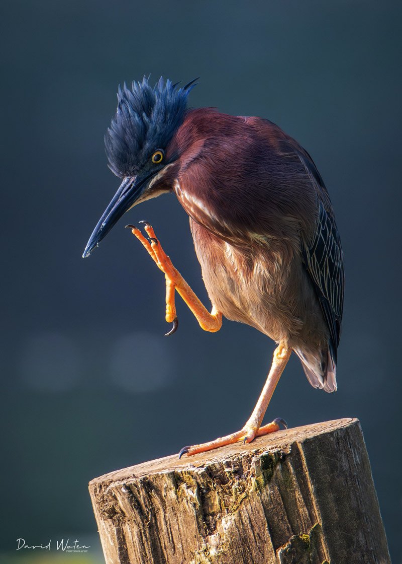 POTD 7-5-23 - POTD ON GODUBOIS - GoDuBois.com