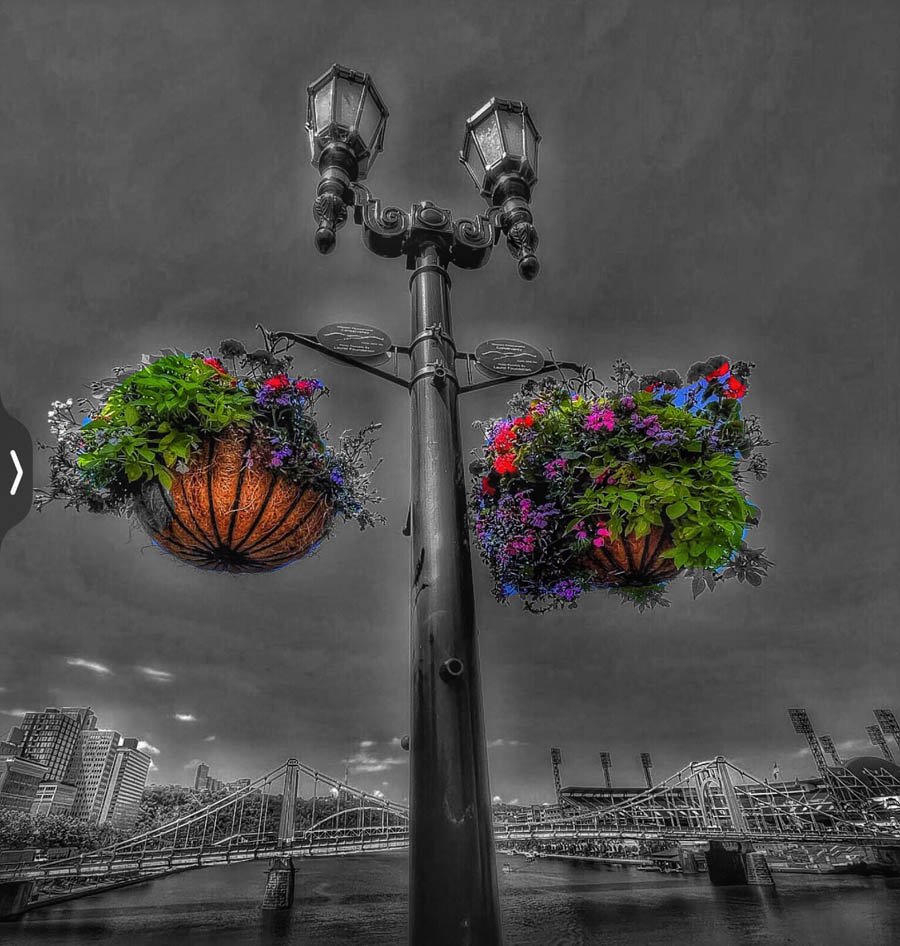 POTD 7-9-23 - POTD ON GODUBOIS - GoDuBois.com