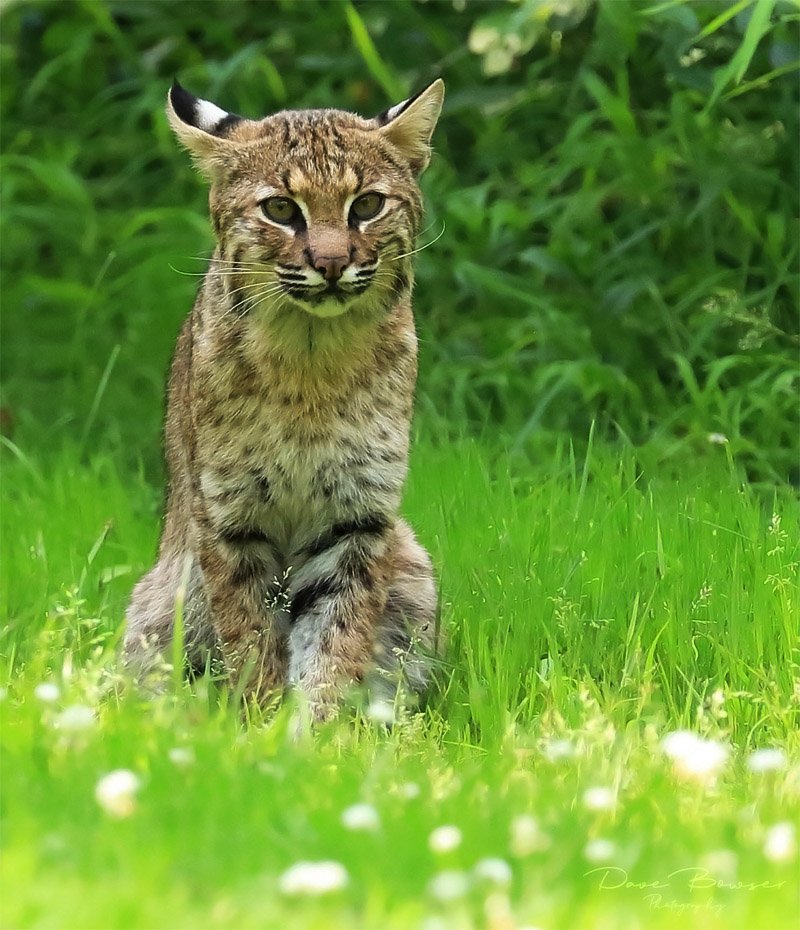 POTD 7-17-23 - POTD ON GODUBOIS - GoDuBois.com