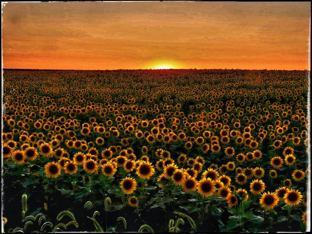 POTD 9-5-23 - POTD ON GODUBOIS - GoDuBois.com