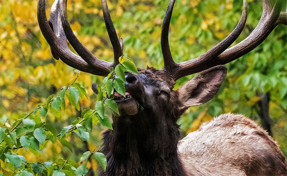 Potd 10 5 23 Potd On Godubois