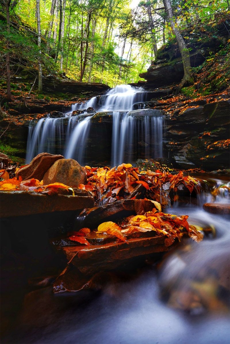 Potd 10 10 23 Potd On Godubois