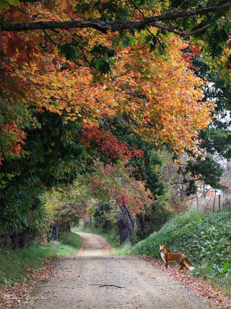 POTD 10-13-23 - POTD ON GODUBOIS - GoDuBois.com