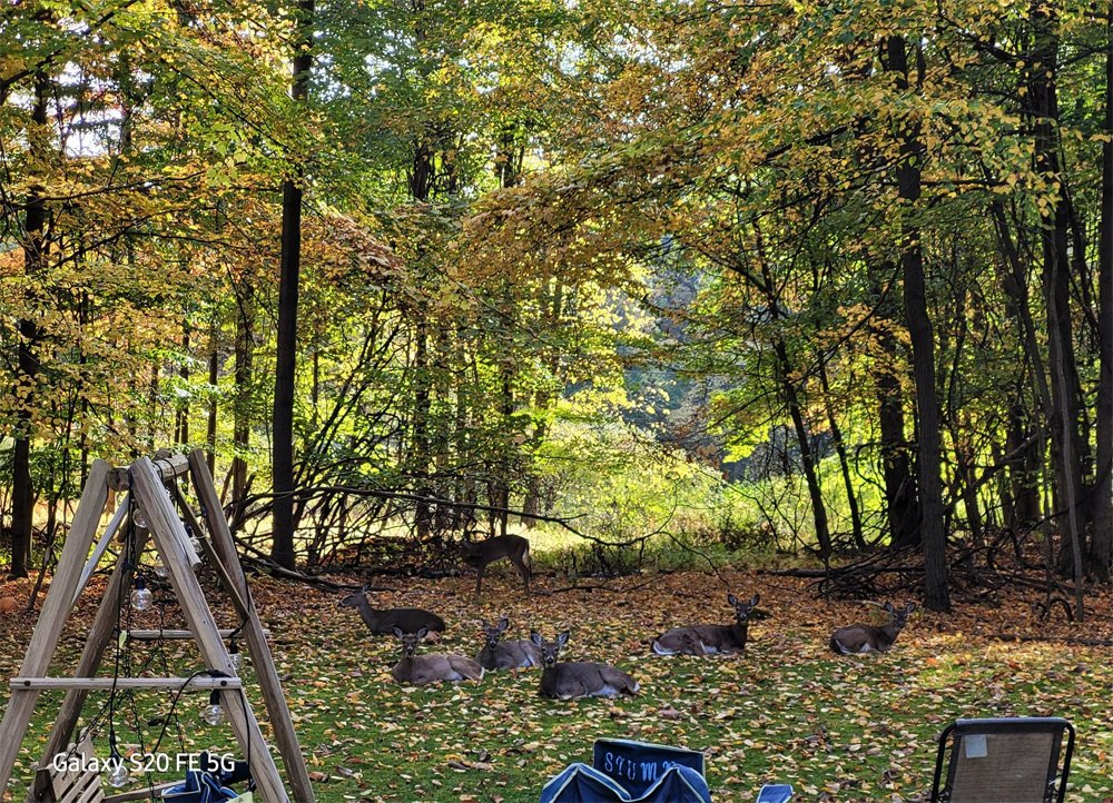 Potd 10 16 23 Potd On Godubois