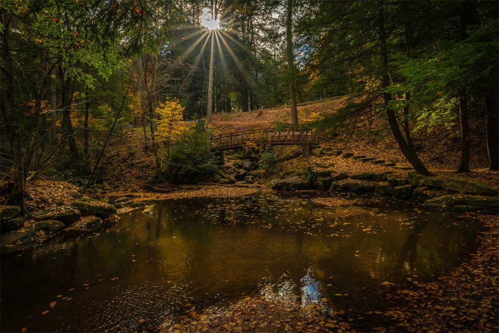 Potd 10 29 23 Potd On Godubois