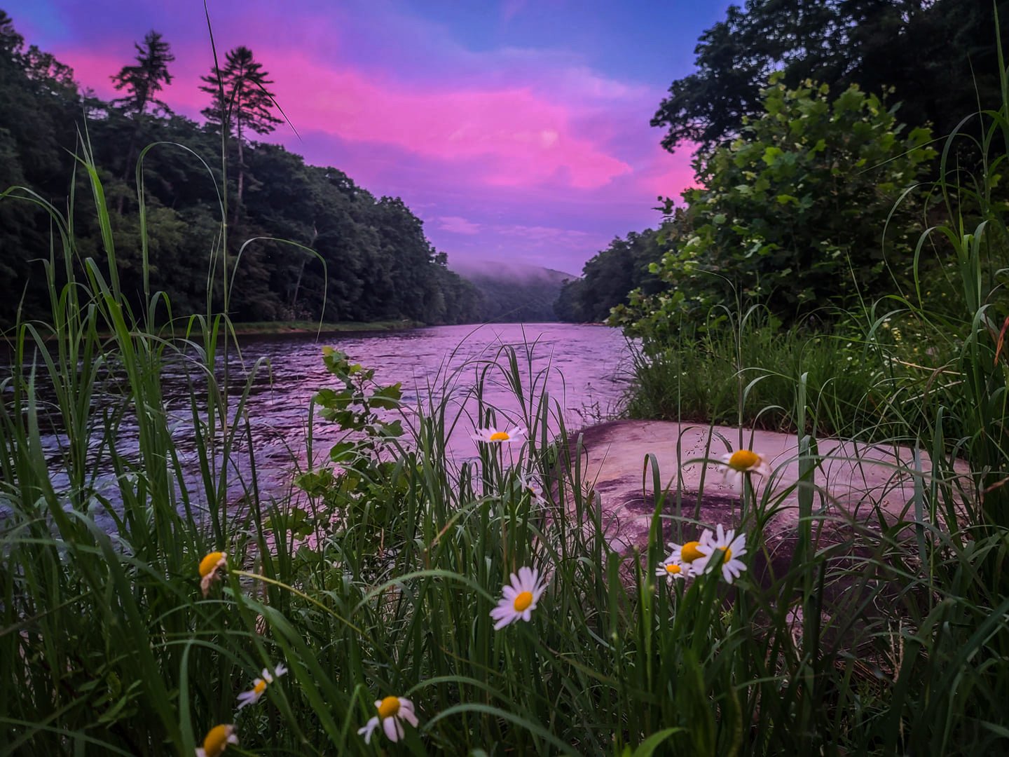 POTD 3-22-24 - POTD ON GODUBOIS - GoDuBois.com