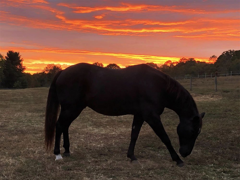 POTD 7-7-24 - POTD ON GODUBOIS - GoDuBois.com