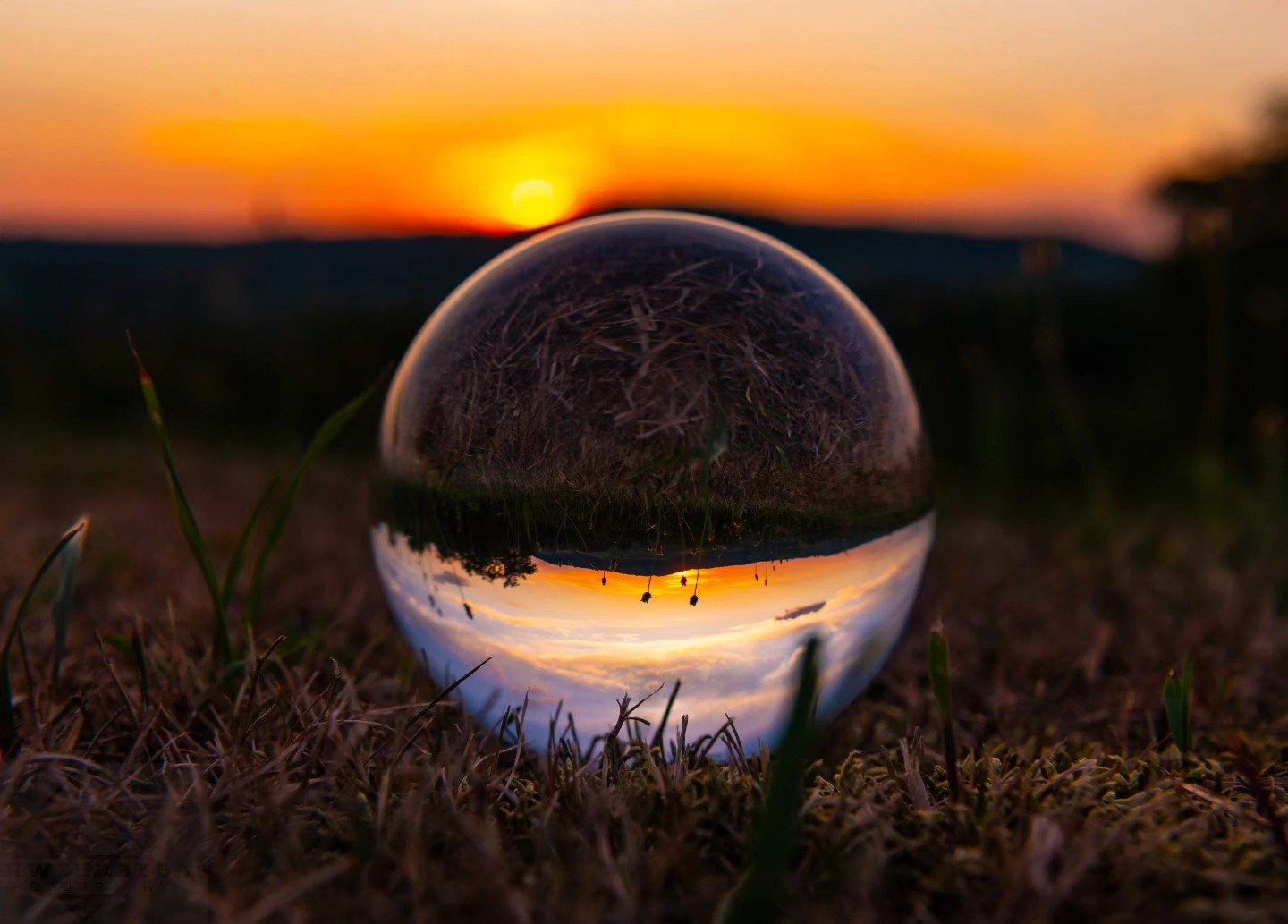 POTD 7-23-24 - POTD ON GODUBOIS - GoDuBois.com